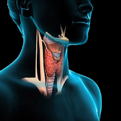 Tampa Thyroid Panel Test Purchase Thyroid Test Online At 24 7 Labs tampa-thyroid-panel-test-purchase-thyroid-test-online-at-24-7-labs