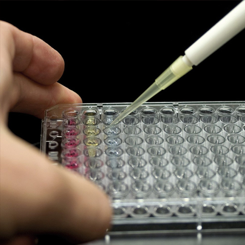 Tampa Free Triiodothyronine Test - 24/7 Labs Tampa Bay